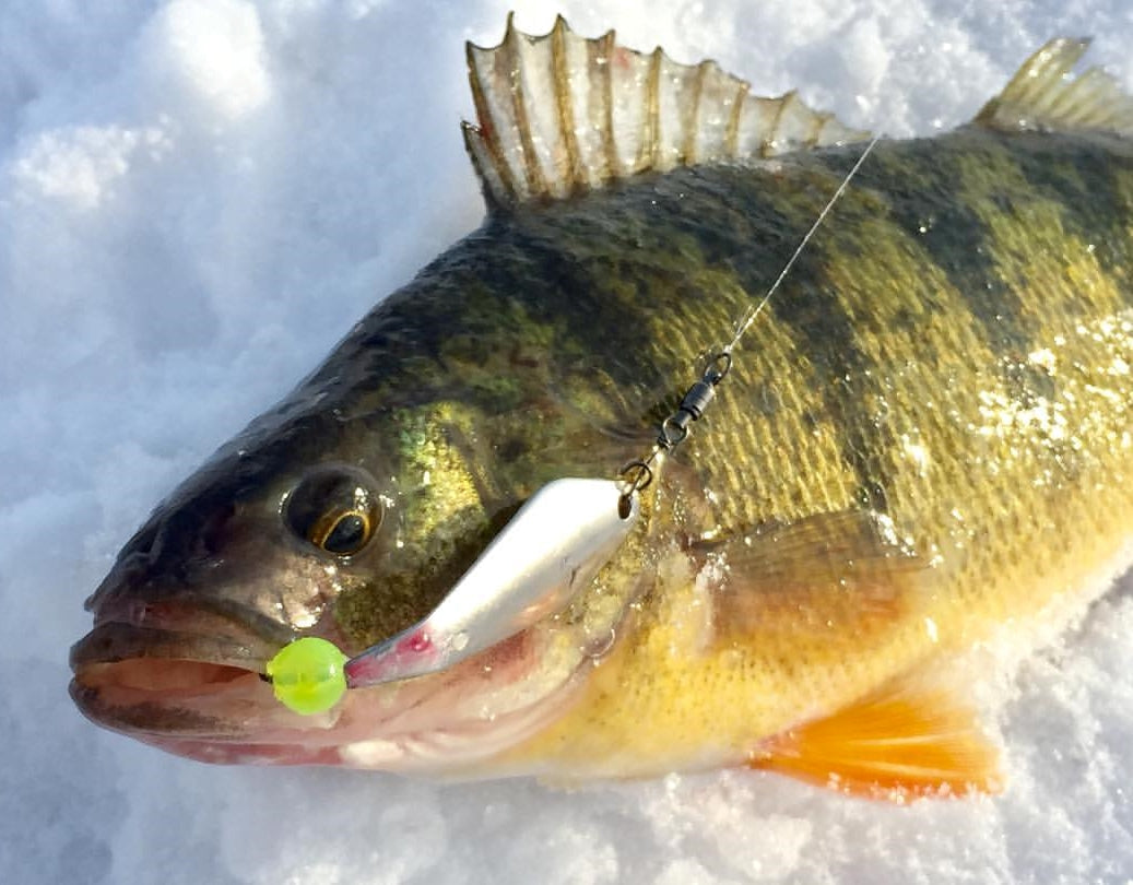 McGathys Hooks - Home of the Slab Grabbers